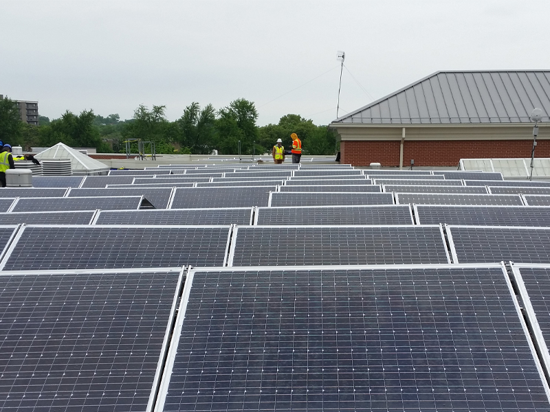 About Arise Solar | Solar Panels for Home and Business